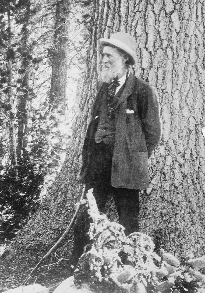 John Muir's Radical Religion of Beauty - TheHumanist.com