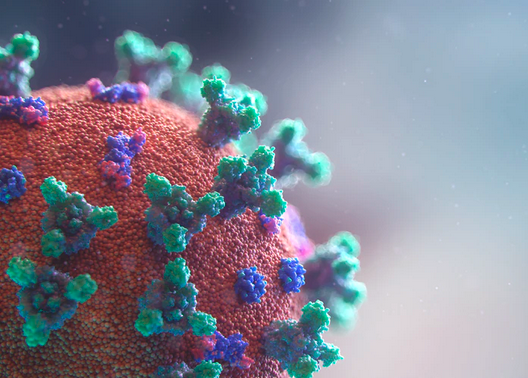 What a Tiny Virus Can Teach Us - TheHumanist.com