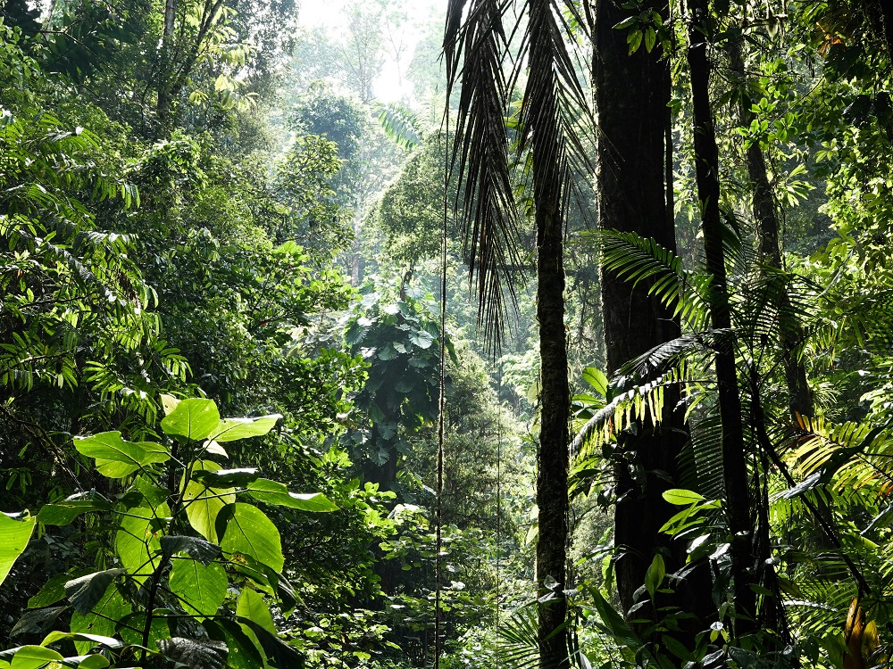 Celebrating the Worldview that Embraces the Natural World in Its Finite ...